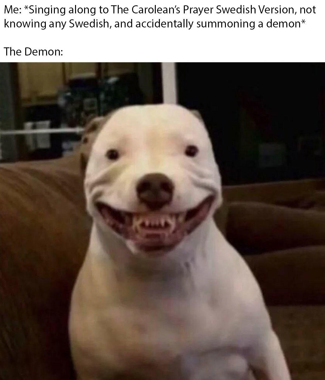 The demon I just summoned 2 | Maddy the Pitbull / Perro ._.XD | Know ...