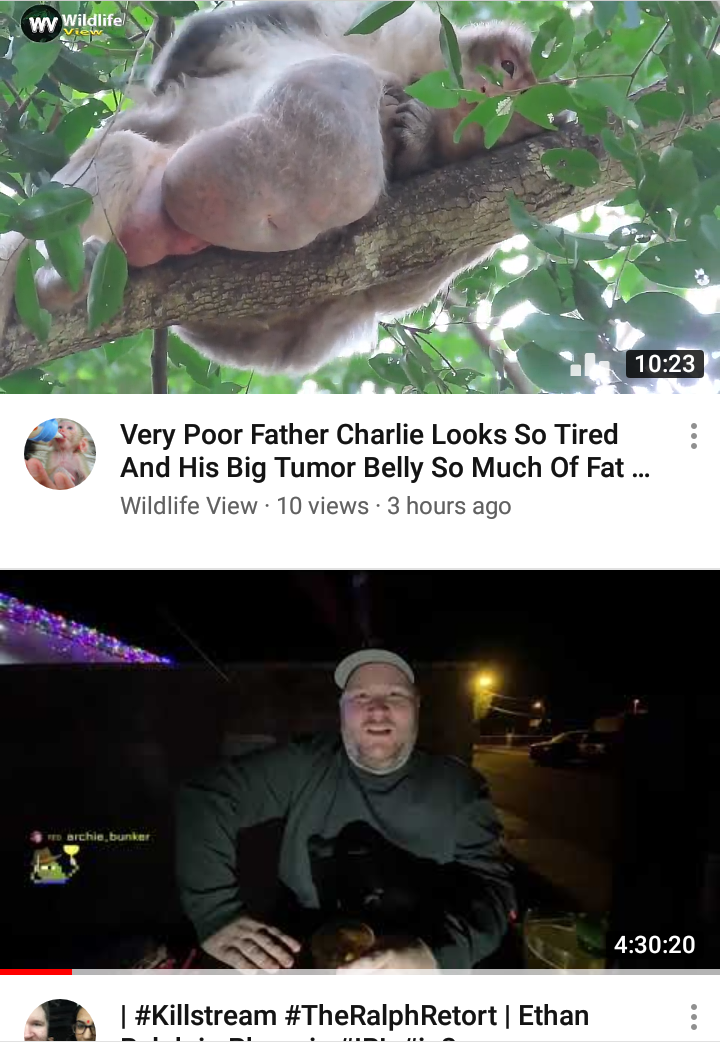 GUNT MONKEY | Juxtaposition | Know Your Meme