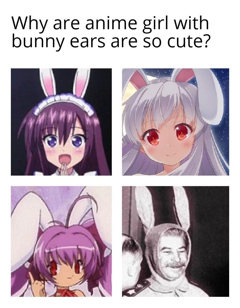 Sacred waifu photo | /r/memes | Anime / Manga | Know Your Meme