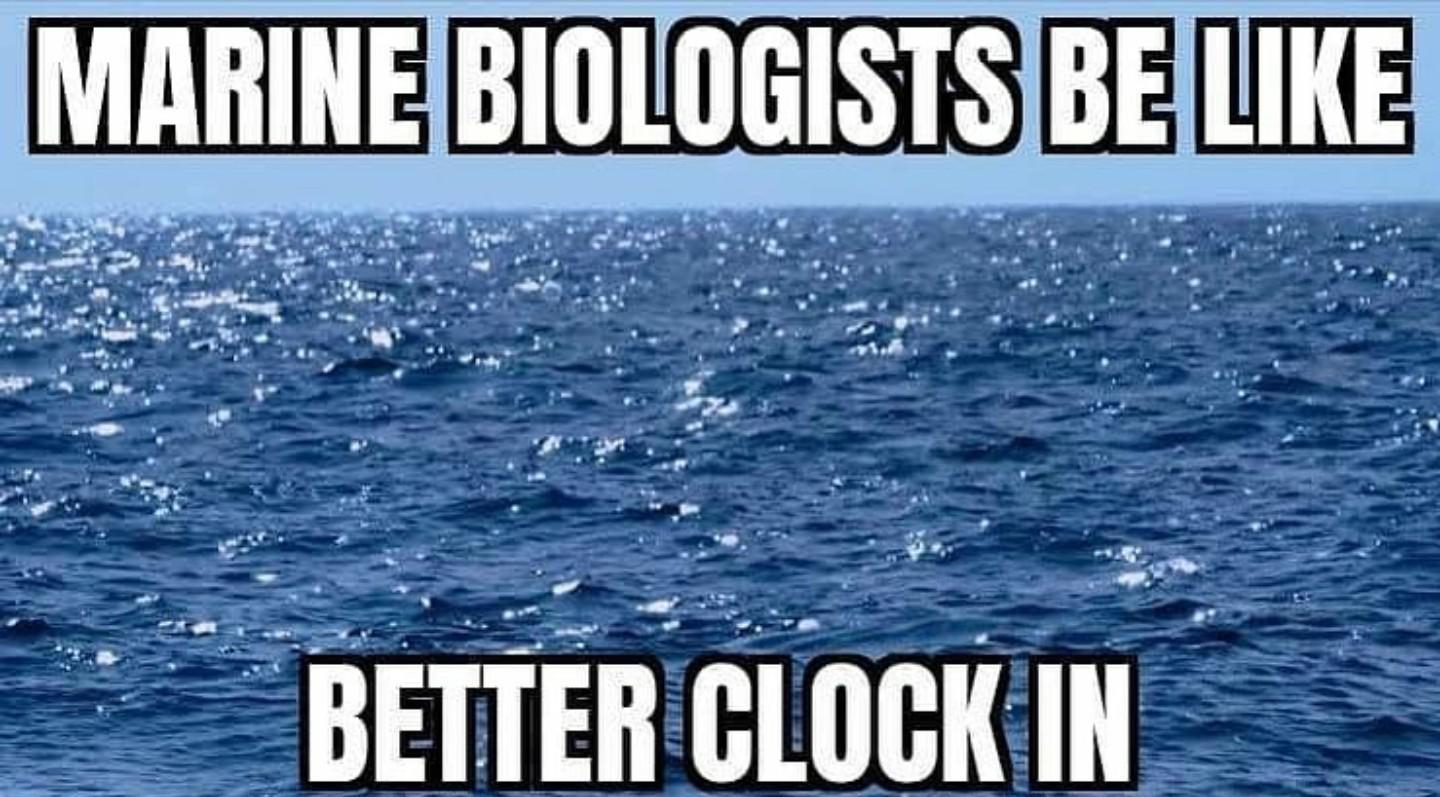 This is just hydrohomies home | /r/okbuddyretard | OkBuddyRetard | Know ...