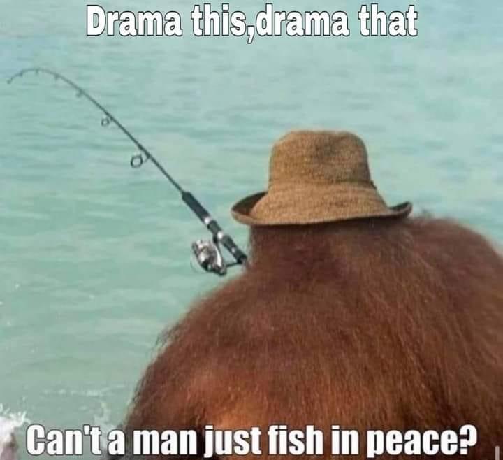 fish in peace | Return to Monke | Know Your Meme
