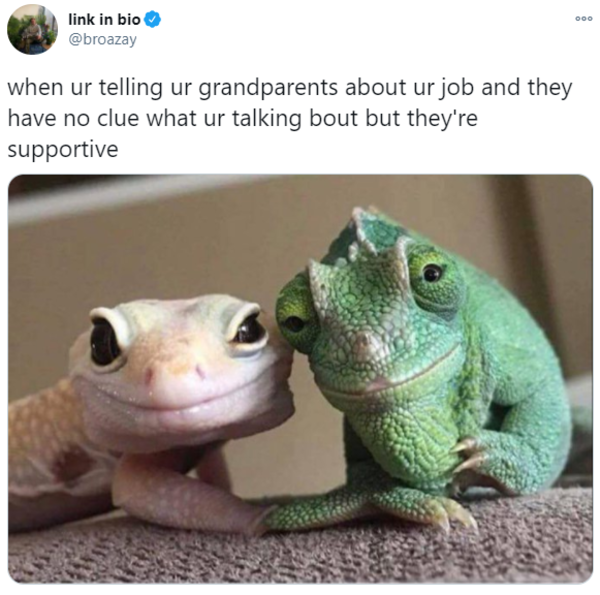 supportive grandparent lizards | Smiling Lizard Couple | Know Your Meme