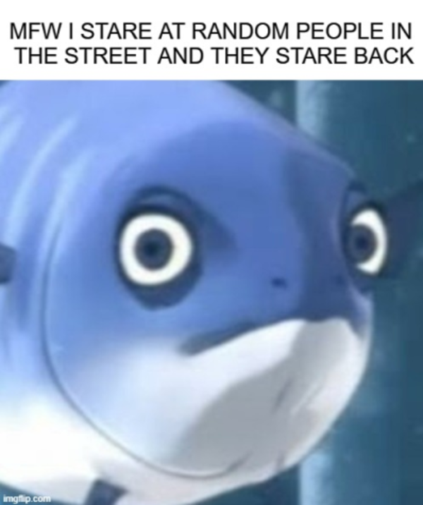 Padak | Know Your Meme