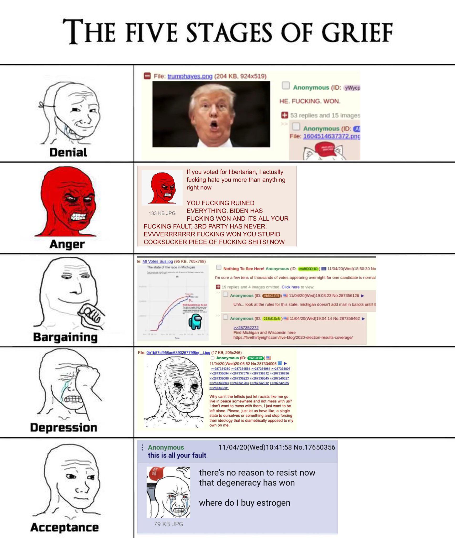 The five stages of grief | 2020 United States Presidential Election ...