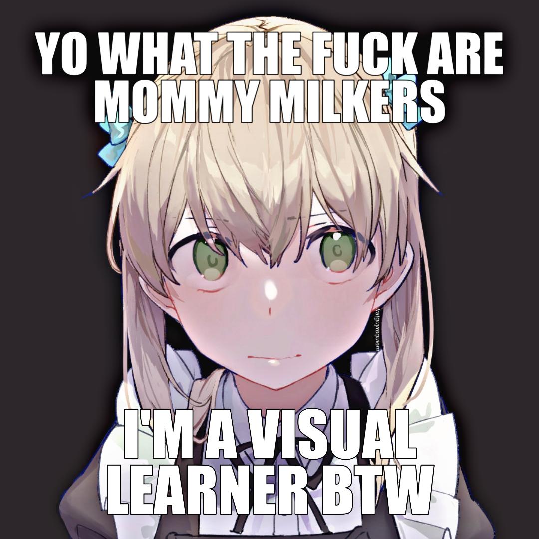 Visual Learner BTW Mommy Milkers Know Your Meme