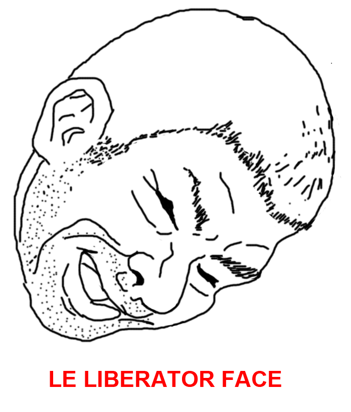LE LIBERATOR FACE | The Soviet Liberator / Le Liberator Face | Know ...