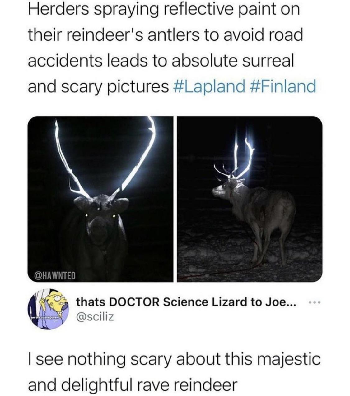 Wholesome Rave Reindeer | /r/wholesomememes | Wholesome Memes | Know ...