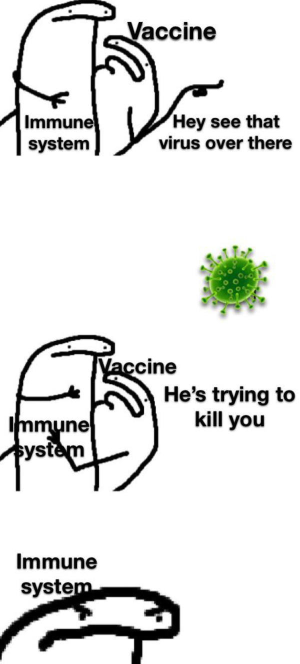 Immune system protecc | /r/wholesomememes | Wholesome Memes | Know Your ...
