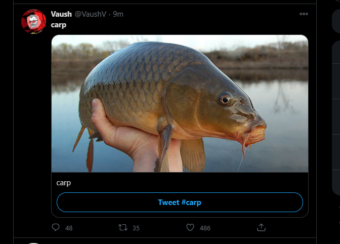 vaush tweet | Carp Tweets | Know Your Meme
