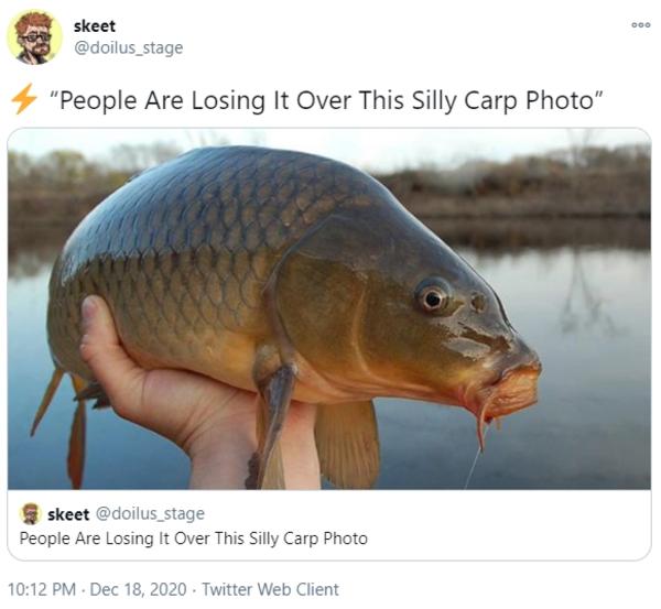 High voltage sign “People Are Losing It Over This Silly Carp Photo ...