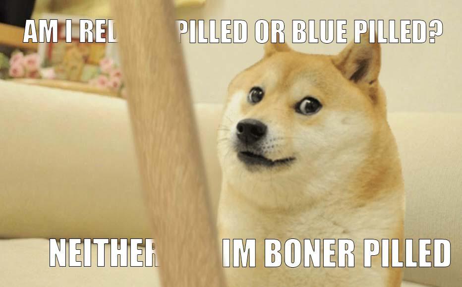 Le massive, looming, oblong object has arrived | /r/dogelore | Ironic ...
