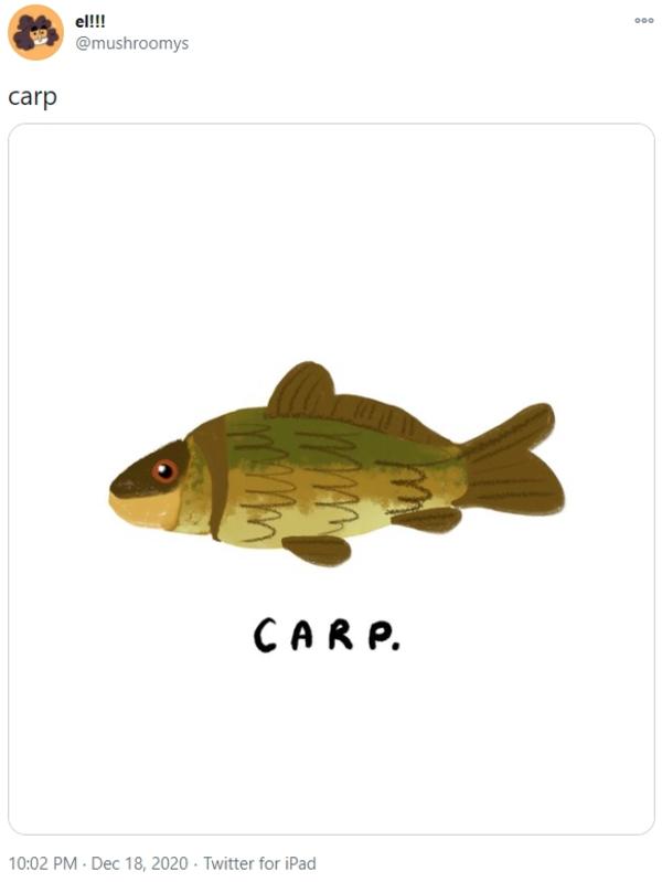 carp | Carp Tweets | Know Your Meme