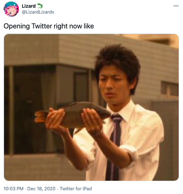 Fish Confusion | Carp Tweets | Know Your Meme