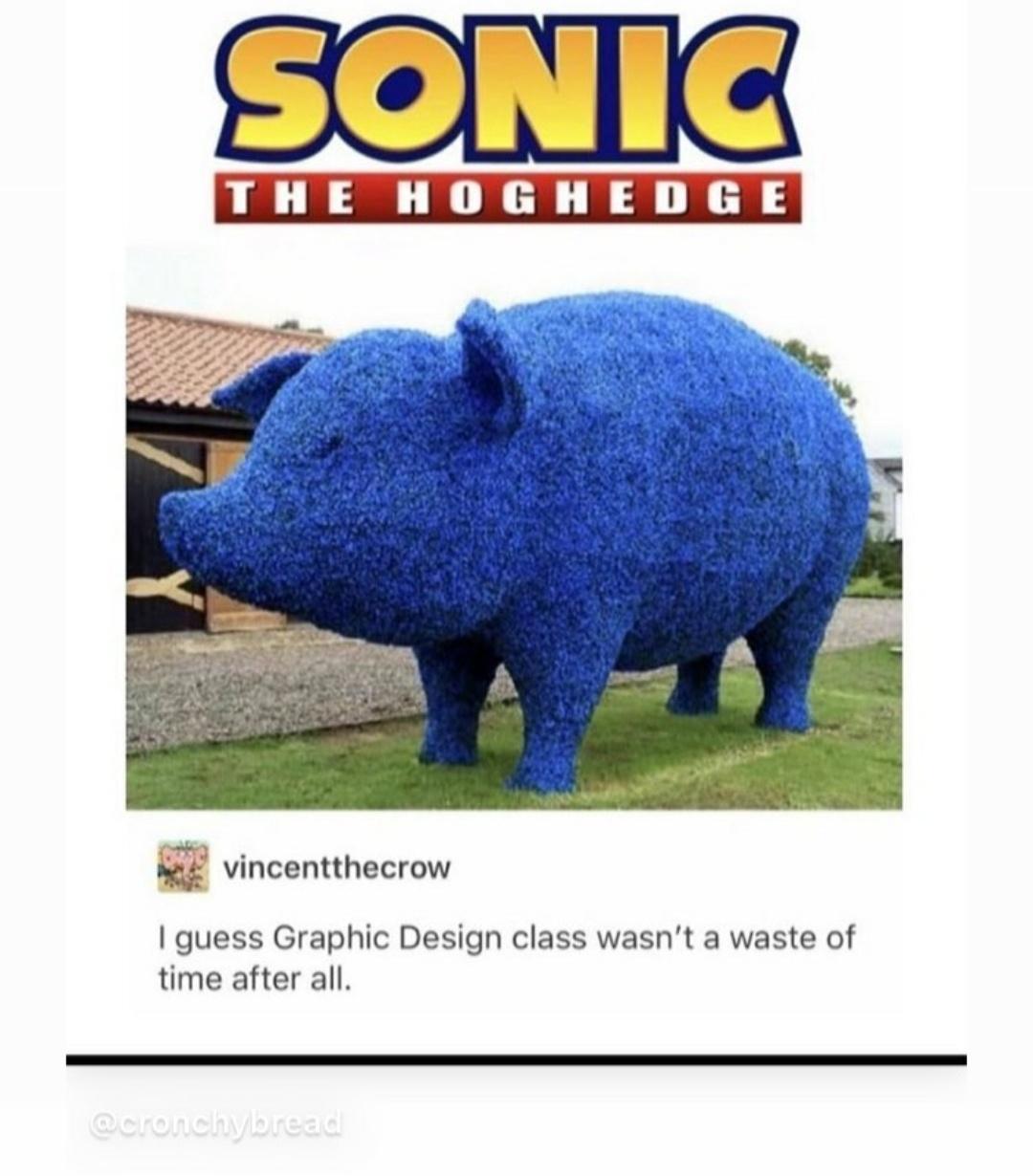 oink oink baby | Sonic the Hedgehog | Know Your Meme