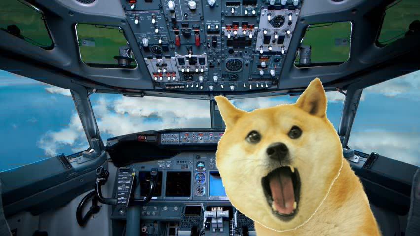 doge flys a plane | /r/dogelore | Ironic Doge Memes | Know Your Meme