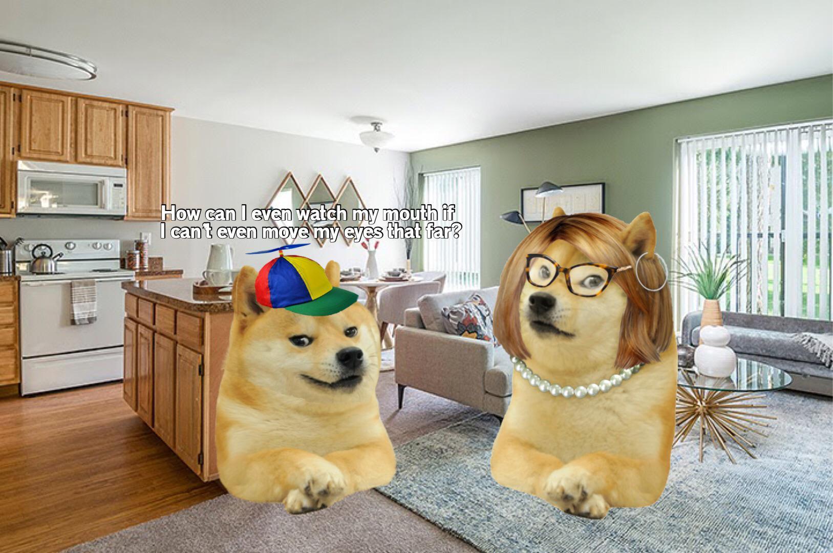 Le Smart Kid Has Arrived | /r/dogelore | Ironic Doge Memes | Know Your Meme