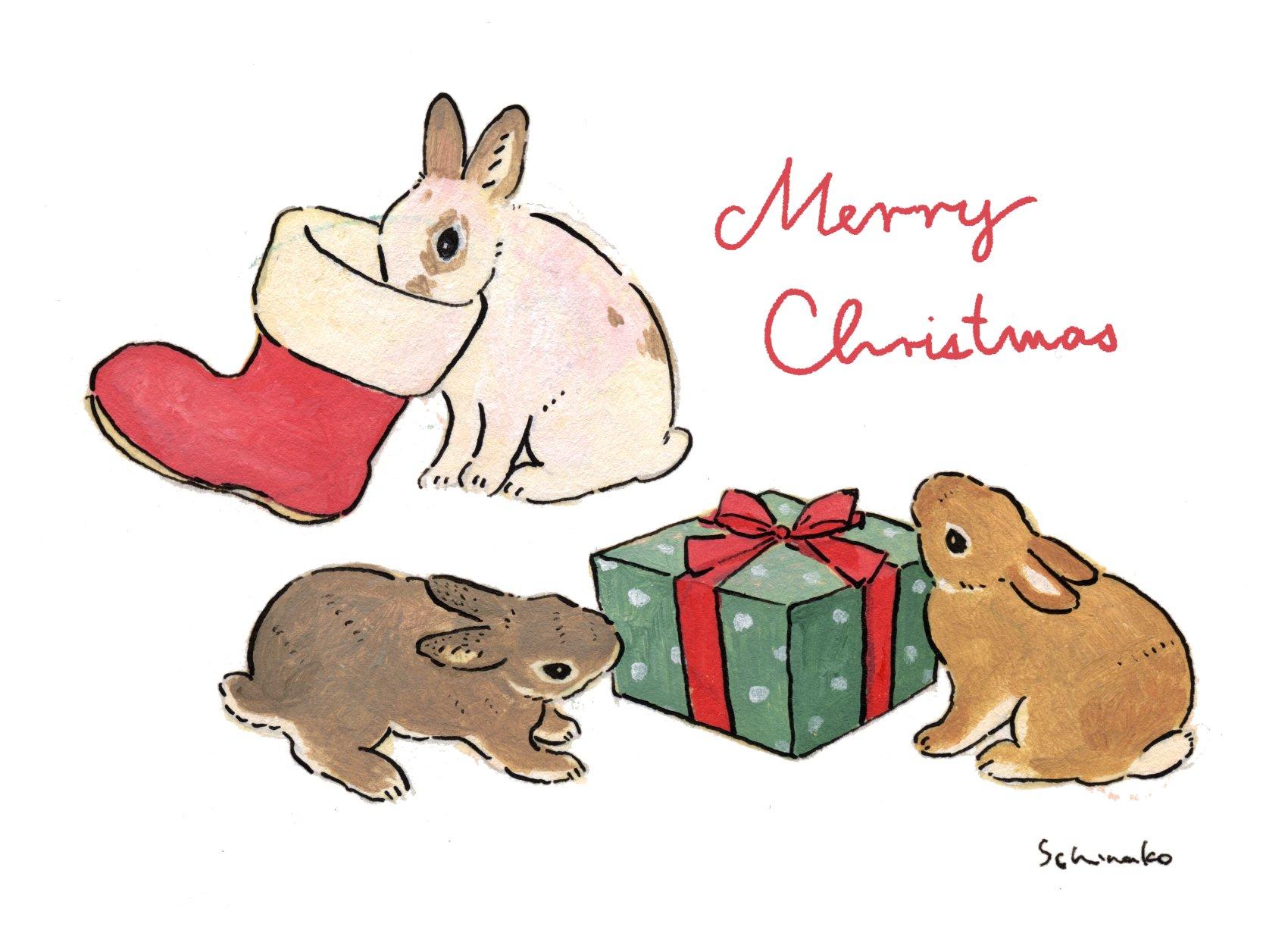 Merry Christmas. Here's some buns. | Rabbits | Know Your Meme