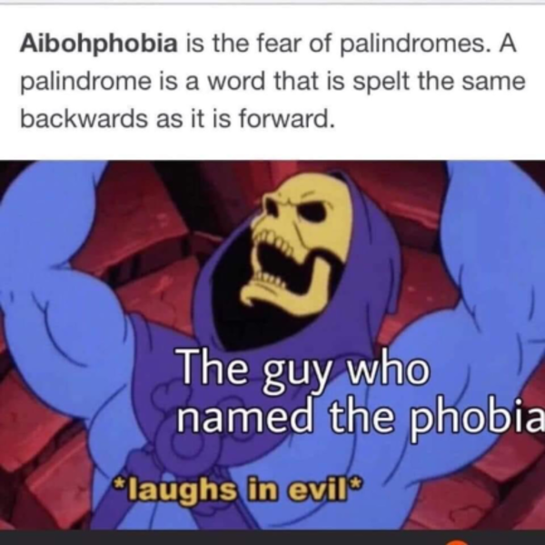 Aibohphobia | Skeletor | Know Your Meme
