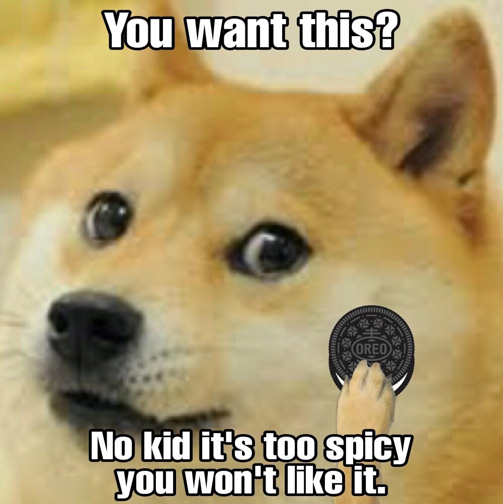 my boy doge is so clever | /r/dogelore | Ironic Doge Memes | Know Your Meme
