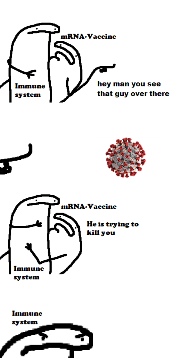 Very simply, that's how the mRNA vaccine works | /r/wholesomememes ...