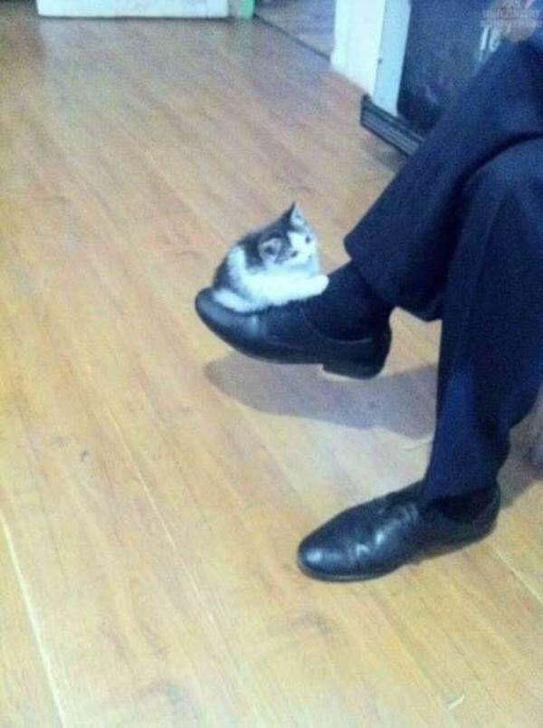 Blessed_Seat | Blessed Image | Know Your Meme