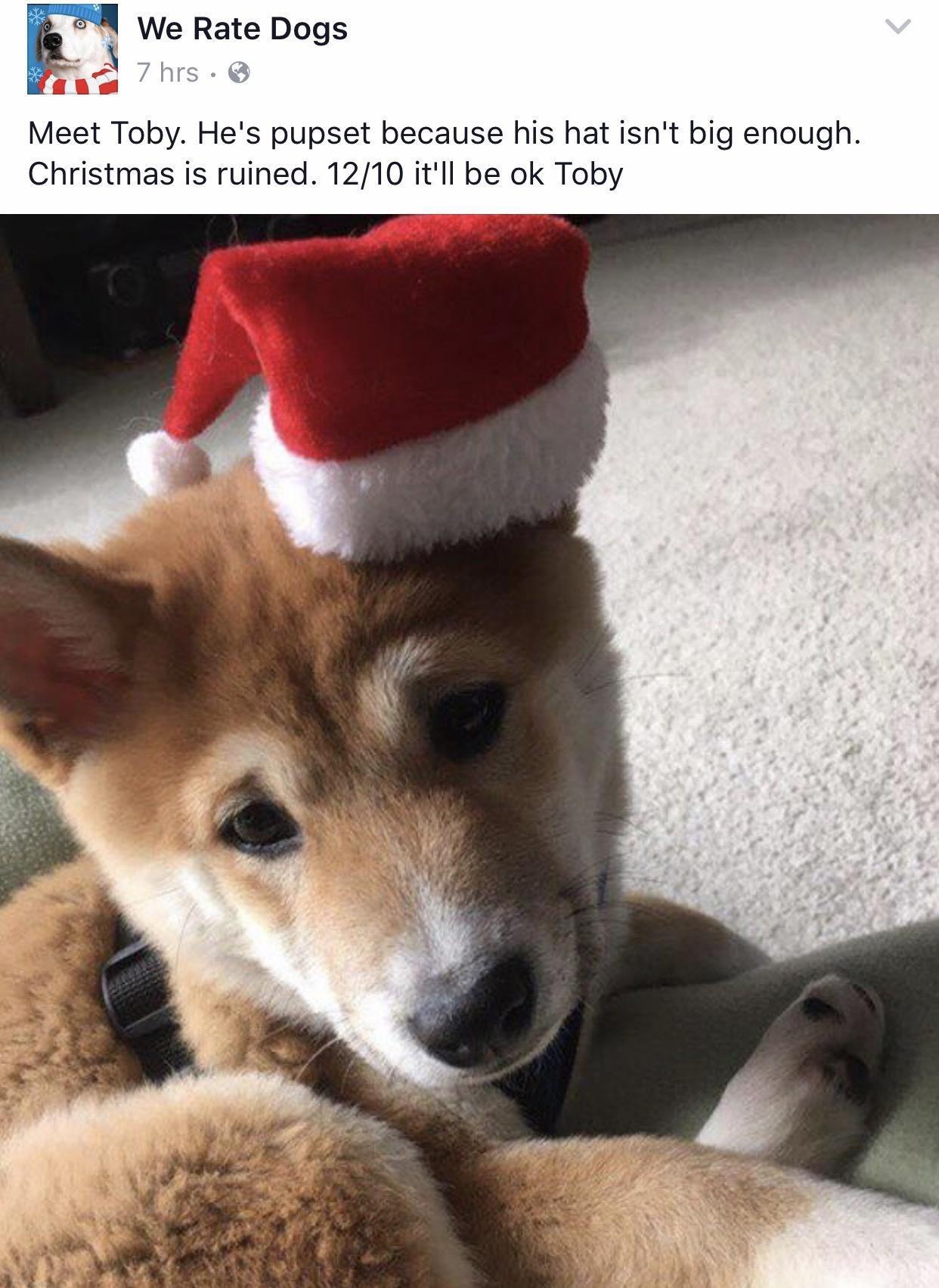 Tis hat is too small | /r/wholesomememes | Wholesome Memes | Know Your Meme