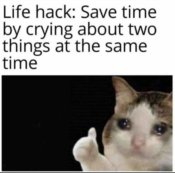 now you have extra time | Thumbs Up Crying Cat | Know Your Meme