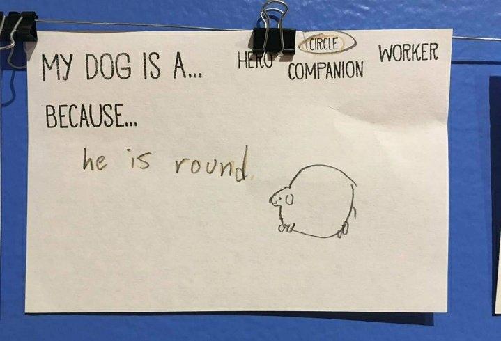 My Dog Is A Circle Because He Is Round | Dogs | Know Your Meme