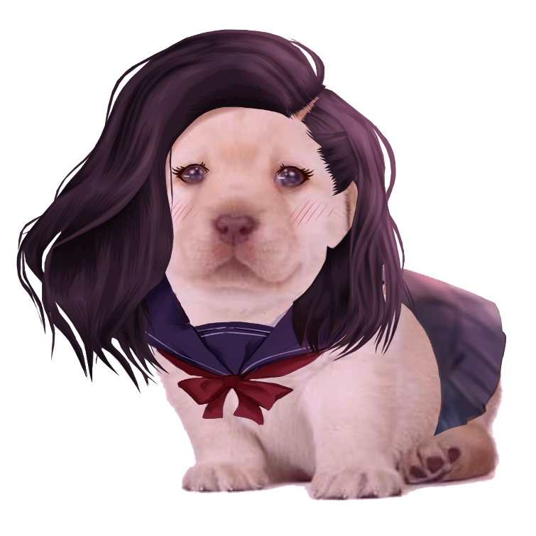 Perro as an anime girl | /r/dogelore | Ironic Doge Memes | Know Your Meme