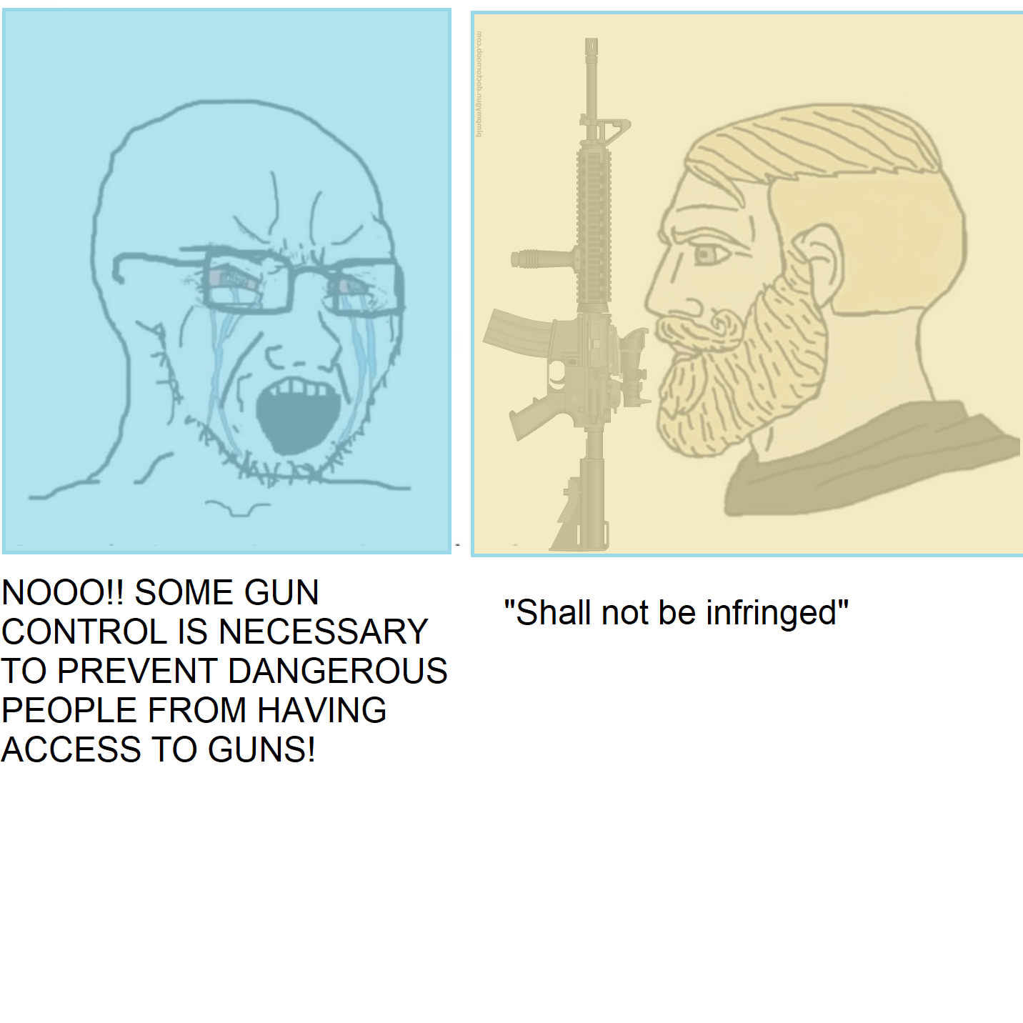 "Shall not be infringed, fed boy!" | /r/PoliticalCompassMemes ...