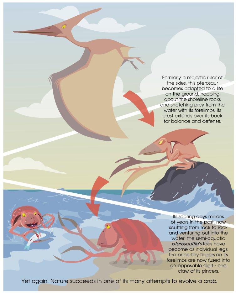 pterosaur carcinization | Carcinization | Know Your Meme