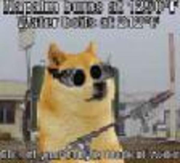 Reposted because 720p was too “low quality” | /r/dogelore | Ironic Doge ...