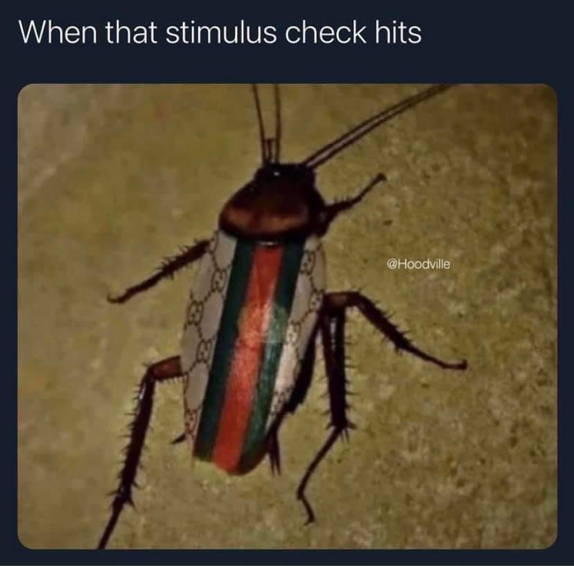 roach got drip | Drip | Know Your Meme