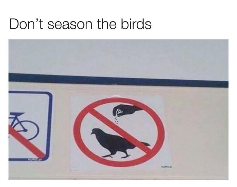 at least not yet | Birds | Know Your Meme
