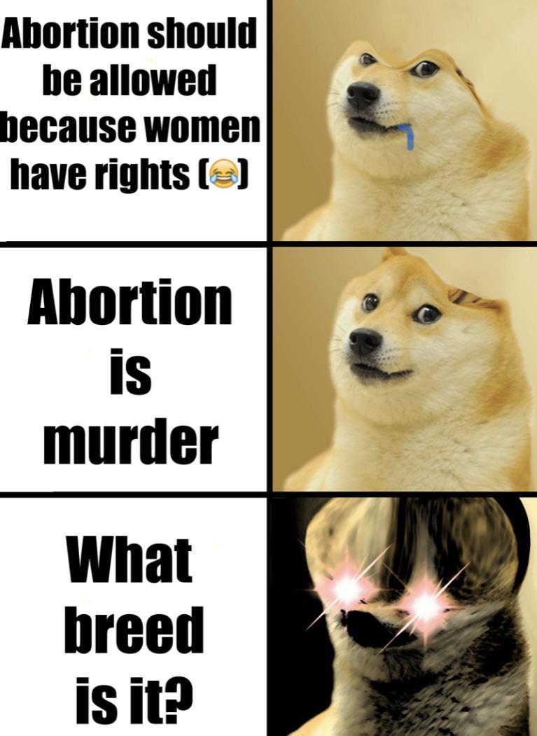 Based doge | /r/dogelore | Ironic Doge Memes | Know Your Meme