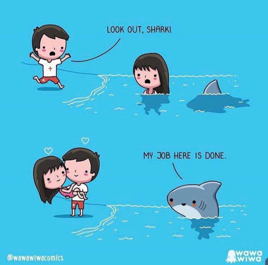Not all sharks have bad intentions | /r/wholesomememes | Wholesome ...