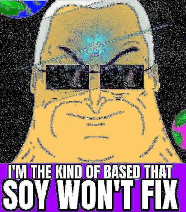 I'M THE KIND OF BASED THAT SOY WON'T FIX | GigaChud | Know Your Meme
