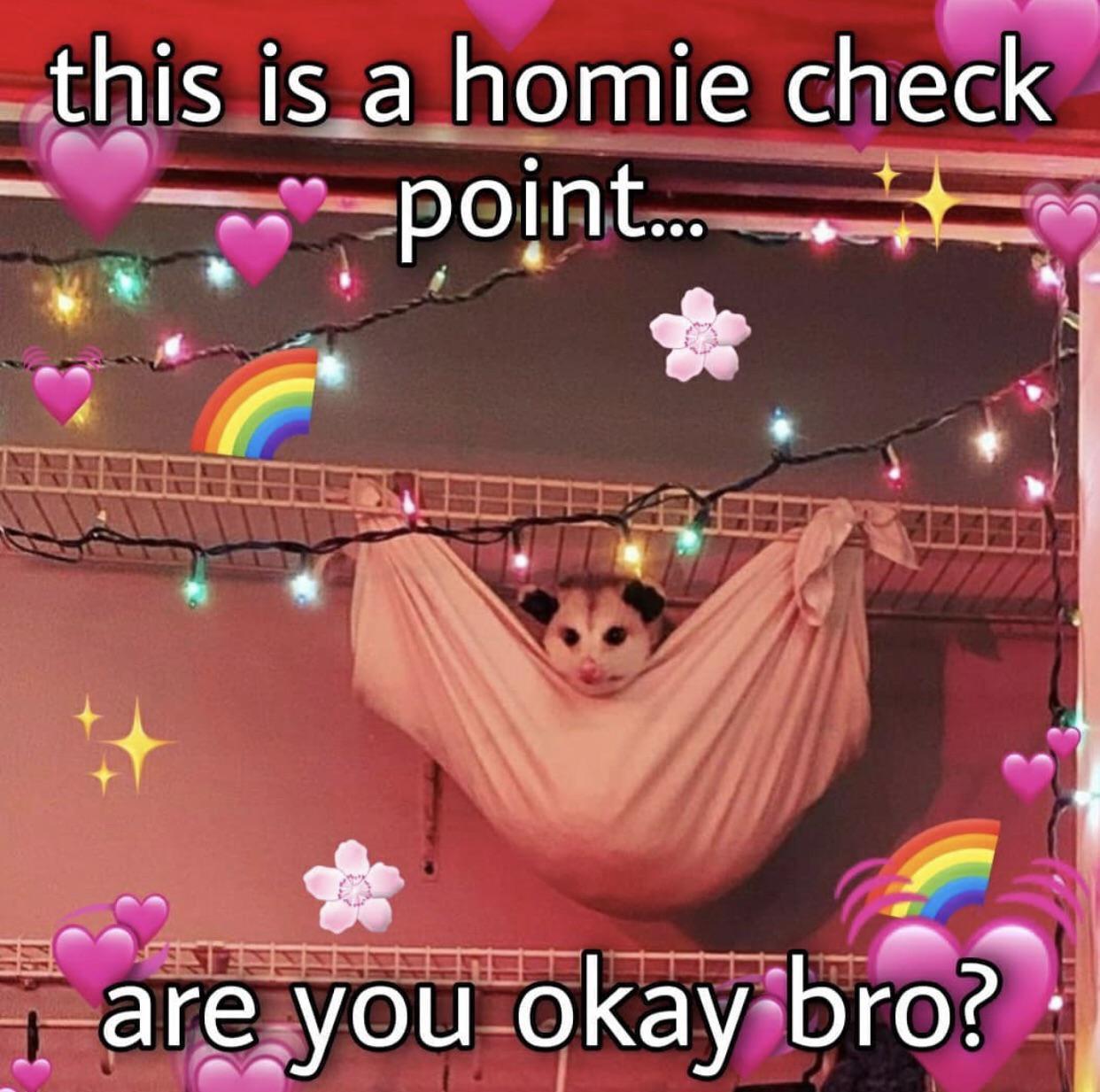 Hope y’all are doing well! c: | /r/wholesomememes | Wholesome Memes ...