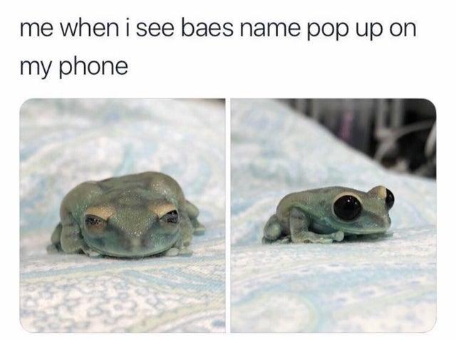 wholesome 100 | Frogs | Know Your Meme
