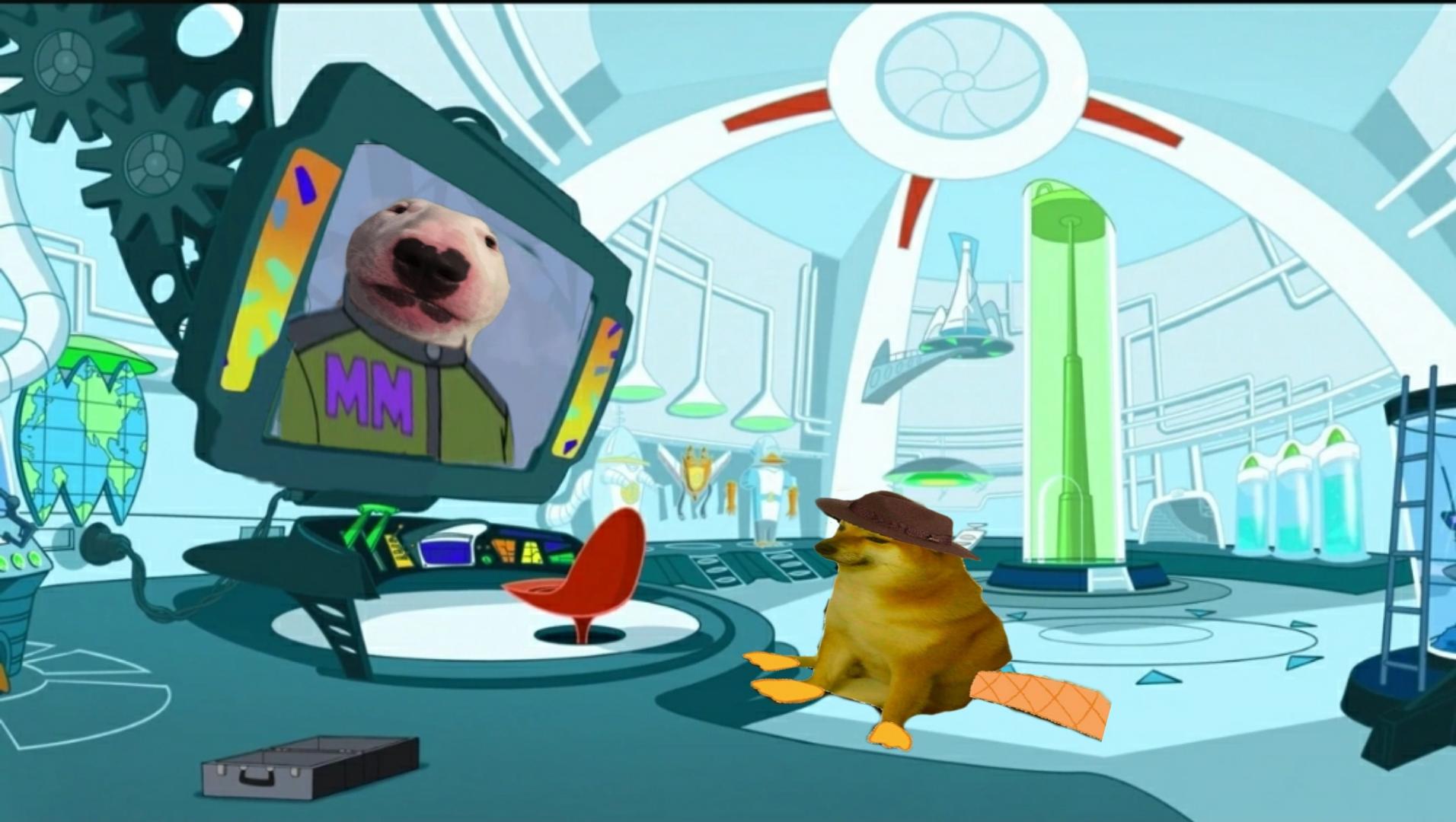Agent C, the evil Coach Henry is at it again | /r/dogelore | Ironic ...