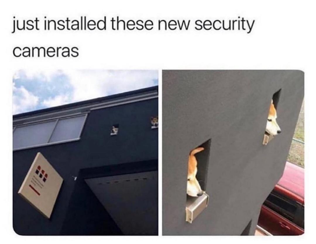 Lovely security camera's | /r/wholesomememes | Wholesome Memes | Know ...