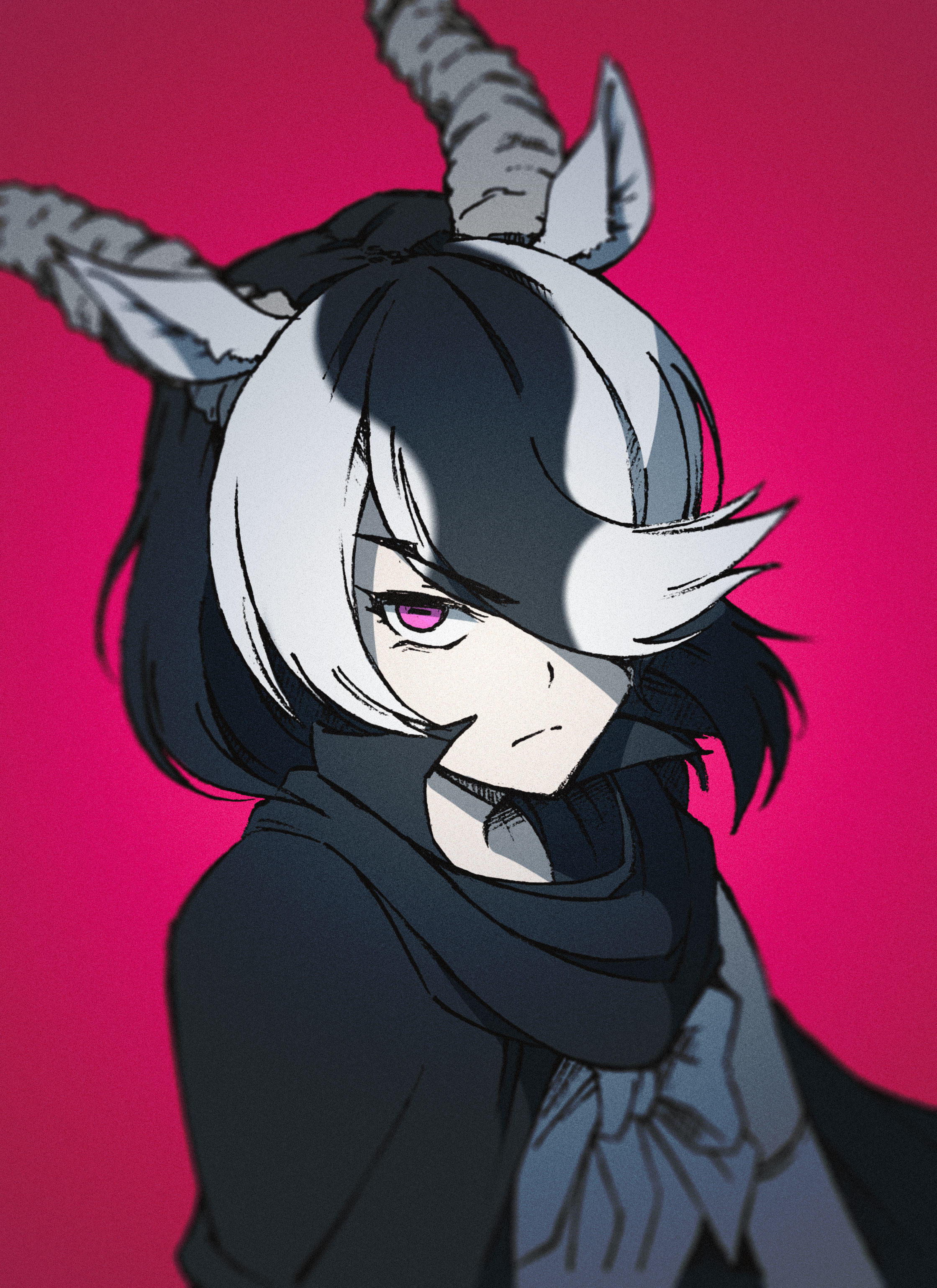 Commander's Revenge | Kemono Friends | Know Your Meme