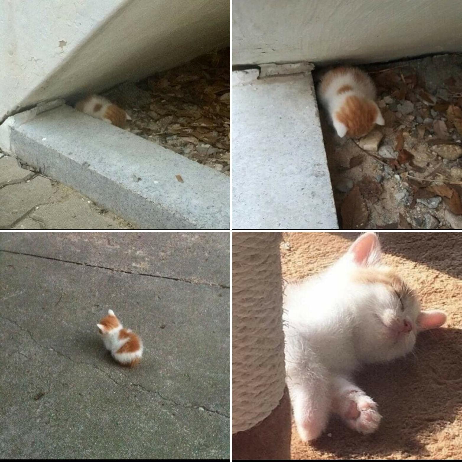 ANGY | Know Your Meme