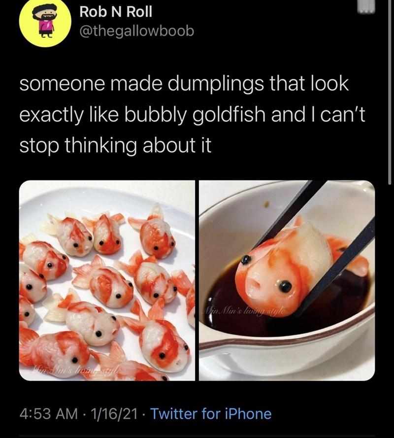 They're too cute to eat | Animals | Know Your Meme