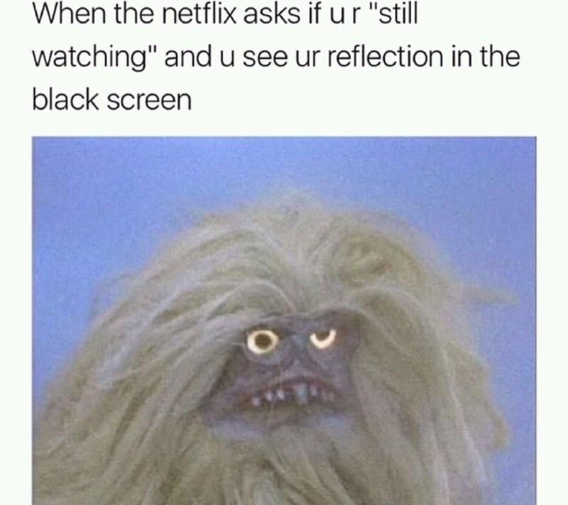 OK I should go eat some fruit | Netflix | Know Your Meme