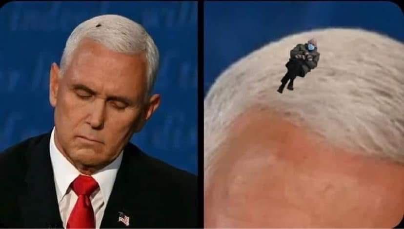 Bernie the fly | Bernie Sanders Wearing Mittens Sitting in a Chair ...