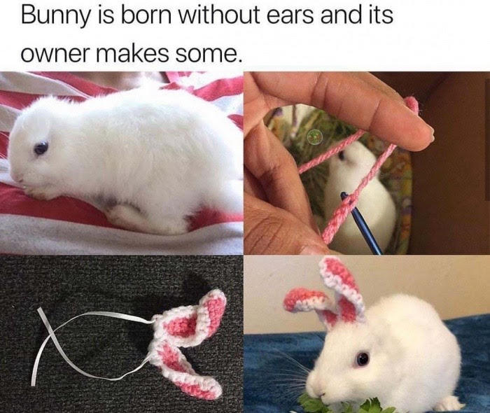 bunny hears | Rabbits | Know Your Meme
