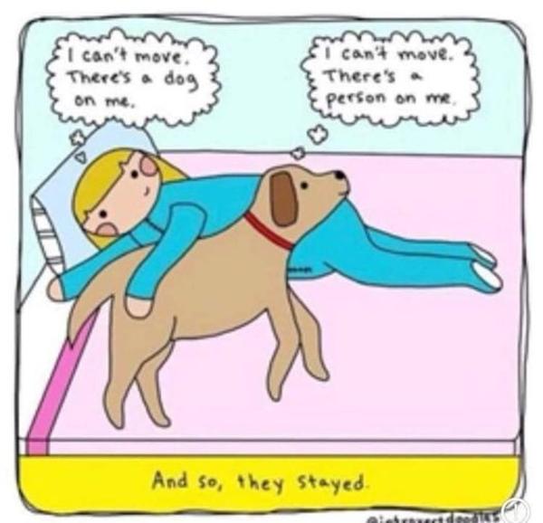My leg is asleep... | /r/wholesomememes | Wholesome Memes | Know Your Meme