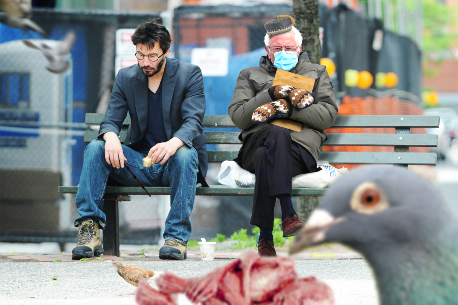 Sad Keanu Potter and Dumbledore Sanders | Bernie Sanders Wearing ...