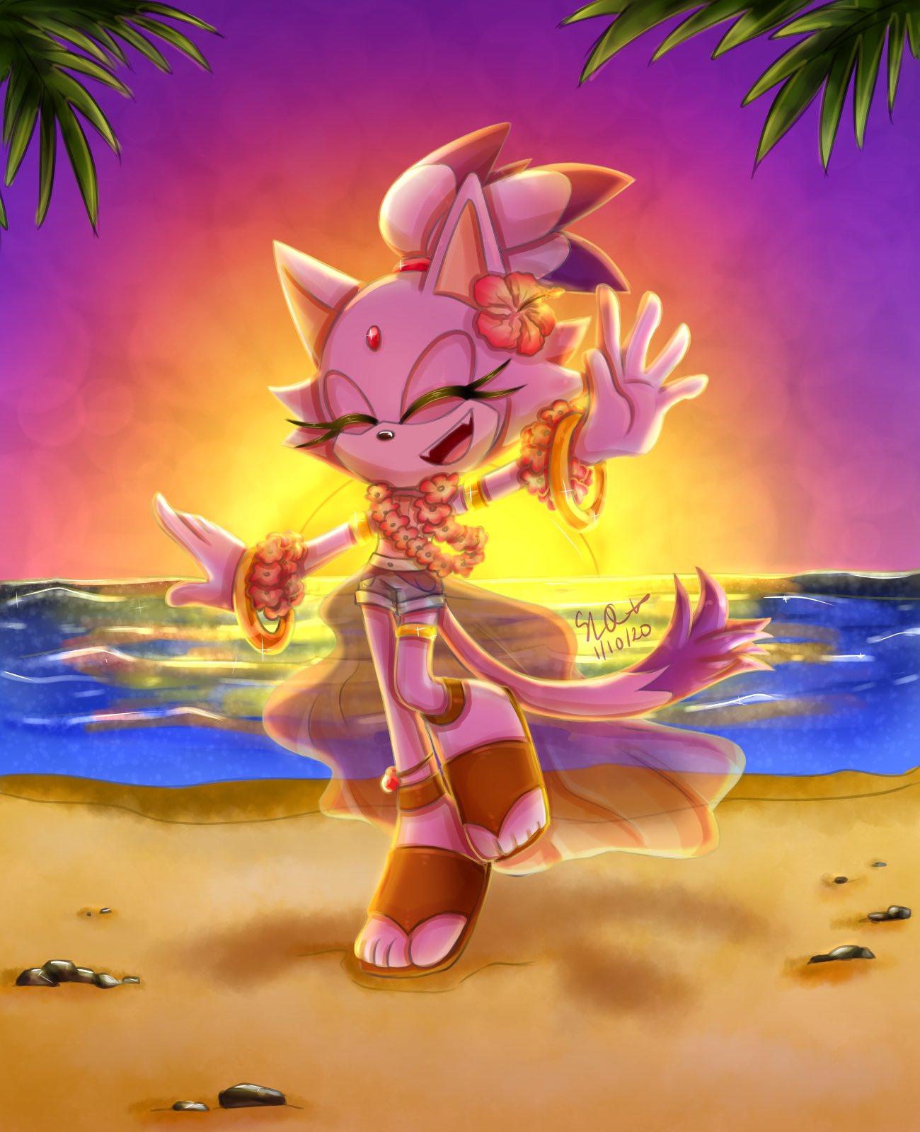 Blaze Sonic The Hedgehog Know Your Meme